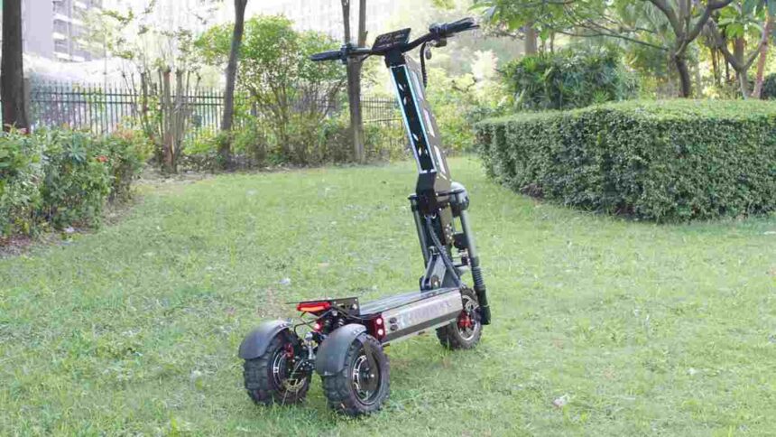 Electric Powered Bike - Electric Scooters Bikes Citycoco Manufacturer
