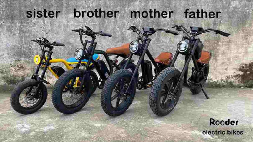 Shimano Folding Electric Bike factory OEM China Wholesale